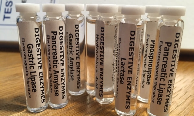 Essential Kits for Holistic Nutritionists – Ergopathics