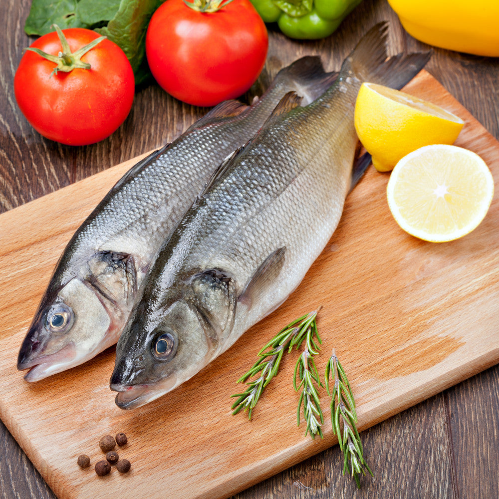 Food - Finfish (FIN) – Ergopathics